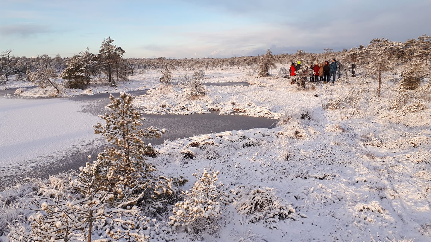 Ilvesed Preeriakoja värava taga | Preeriakoda
